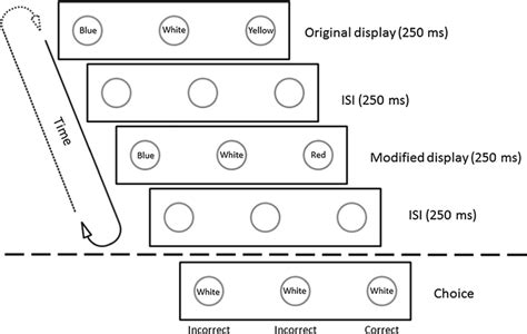 Structure Of A Trial With An Inter Stimulus Interval Isi The Top