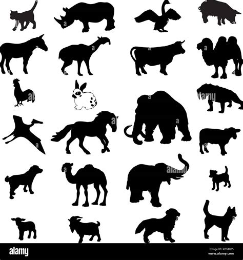 Animal Silhouette Vector Stock Vector Image And Art Alamy
