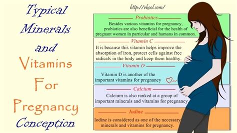 14 Typical Minerals And Vitamins For Pregnancy Conception