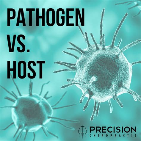 Pathogen Vs Host Precision Chiropractic