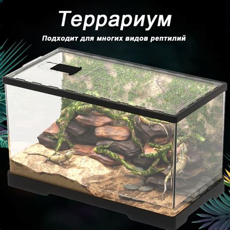 Террариум для рептилий улиток паука купить на Ozon по низкой цене 1783040462