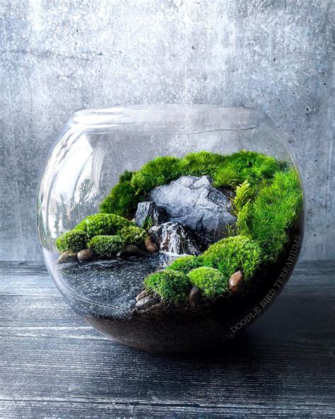Pacific Northwest Terrarium Moody Grey Landscape T For Plant