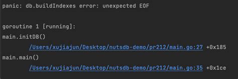 Panic Dbbuildindexes Error Unexpected Eof · Issue 244 · Nutsdb