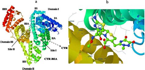 Molecular Docking A Graphical Representation Of The Best Docking