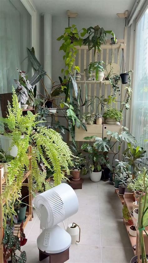 그린하나ㅣ신선아 💬왜 잎 끝이 마르는 걸까요 라는 질문을 과장 조금 보태어 1000번쯤 들어본거 같아요 ㅋㅋㅋㅋㅋㅋㅋㅋㅋㅋㅋㅋ그런데 막상 실제로 보내주시는 사진들을