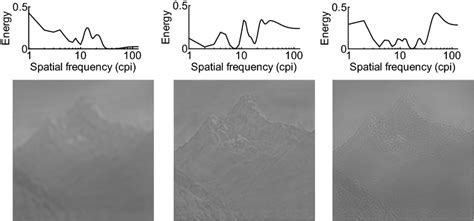 Random 1d Sf Filters And Corresponding Filtered Stimuli The Filters
