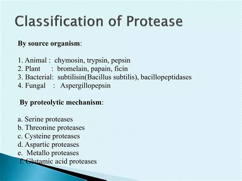 Protease Enzyme Application In Food Processing Pptx