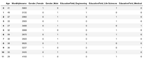 Beware The Dummy Variable Trap In Pandas Built In