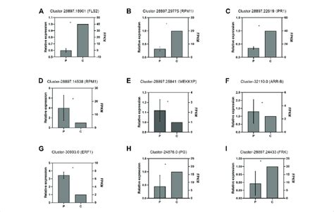 Validation Of The Expression Profiles Of Partial Degs By Rt Qpcr