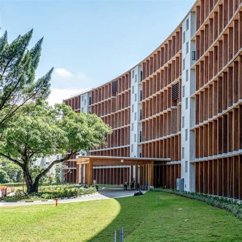 Mould Growing On Toyo Ito Designed Largest Wooden Building In Asia