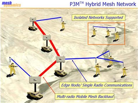 Disruption Tolerant Mobile Mesh Networks