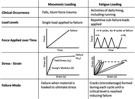 comparison of monotonic and fatigue loading in monotonic loaded