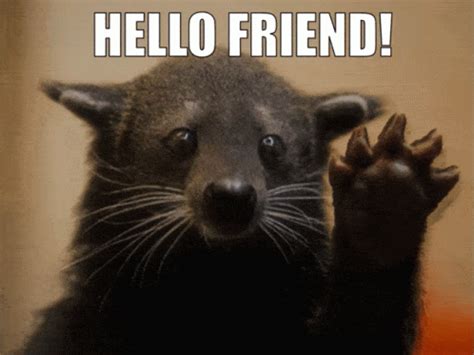 Hello Friend Binturong  Share And View On Klipy