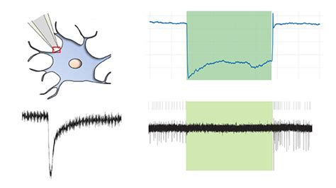 Github Li Shen Amywholecellclampdataanalysis This Is Toolbox