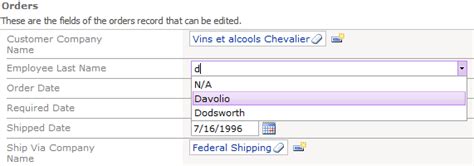 Code On Time Data Controllers Fields Items Style Auto Complete