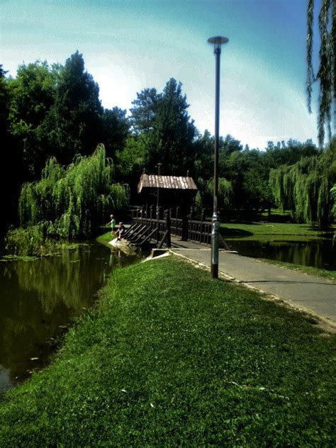 Great Forest In Debrecen Hungary By B Vicky On Deviantart