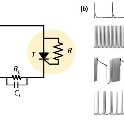 Neural Network Structures And The Comparison Between Ann And Snn A Download Scientific