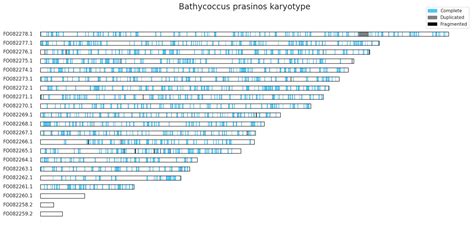 Functionalities — Busco Plot Py 002 Documentation