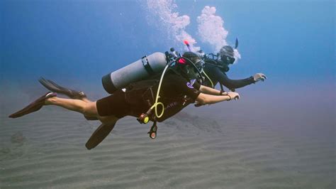 Diving Snorkeling By Sea Saba Saba Dutch Caribbean