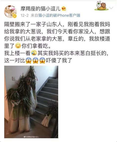 长见识了当山东人说 你还没我家葱高 真不是开玩笑 知乎