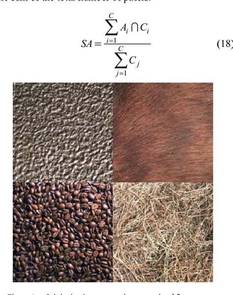 Figure 1 From Multispectral Image Segmentation Using Gabor Filtering And Local Homogeneity