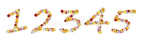 Set With Numbers Made Of Beautiful Flowers On White Background Stock Illustration Illustration