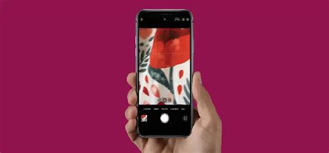 Common Mobile Phone Screen Repair Issues Starsbiopoint