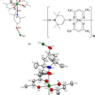 Fragment Of Chain A Structural Formula B And The Structure Of The Download Scientific