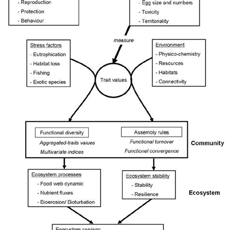 Properties Of The Three Functional Diversity Indices FRic For Download Scientific Diagram