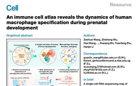 搜索 深圳大学总医院