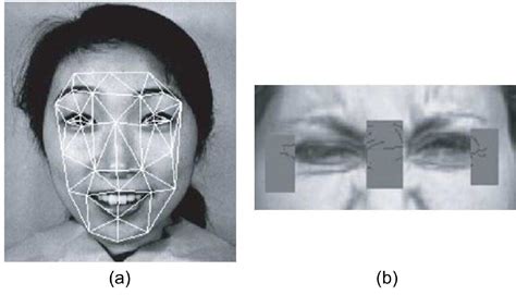 10 Examples Of Hybrid Facial Models A Labeled Graph