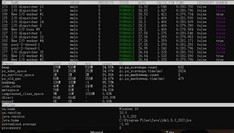 同一版本nacos在windows运行一段时间后cpu占用达100 在linux下无此问题 · Issue 3854 · Alibaba