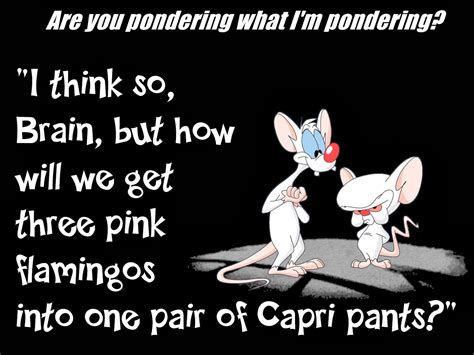 Funny Brain Quotes Quotesgram