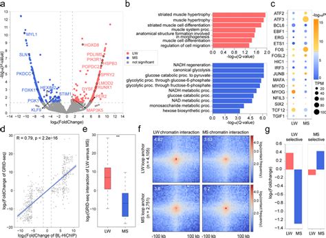 Differential Chromatin Chromatin Interactions And Rnachromatin