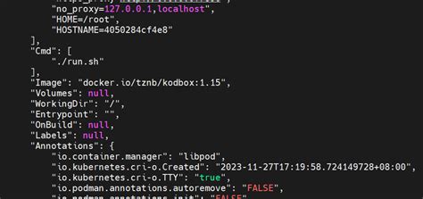docker部署kodbox 深度解析 学不会xuebuhui 博客园