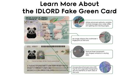 How To Spot A Fake Id Id Verification And Security Guide