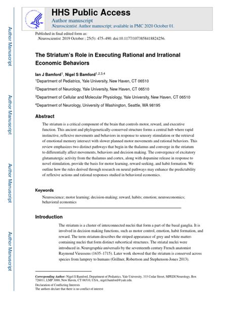 The Striatums Role In Executing Rational And Irrational Pdf Striatum Reward System