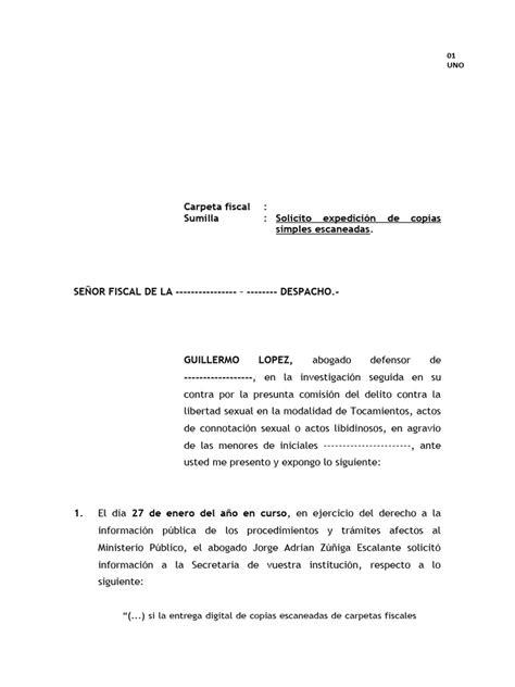 Modelo Solicitud De Copias Simples Escaneadas Pdf