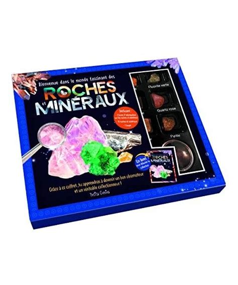 Bienvenue Dans Le Monde Fascinant Des Roches Et Des Minéraux Avec 1 Livret 15 Eur 14 43