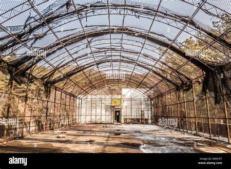 Gonjiam Psychiatric Hospital In South Korea The Hospital Was Abandoned