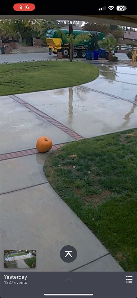 Is My Trash Man An Idiot Or An Asshole R Funnyvideos