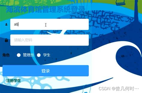 基于javaspring Bootmysql的海滨体育馆管理系统的设计与实现 Csdn博客