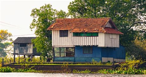 Old Wooden House On The Margins Of A River Of Pantanal Brazil Stock