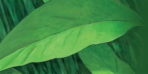 Welcome To Henry Coles Website