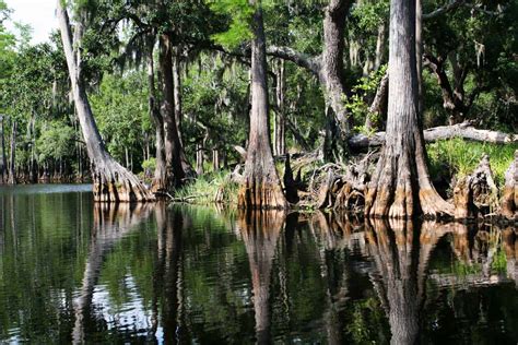 Everglades National Park A Complete Visitors Guide