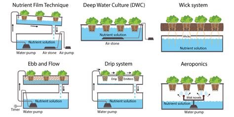 What Are The Different Types Of Hydroponic Systems