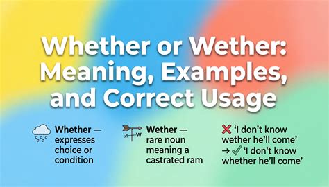 📚whether Or Wether Meaning Examples And Correct Usage