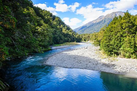 Large Beautiful Haast River Haast Pass South Island New Zealand 1163454672 Luxury Gold