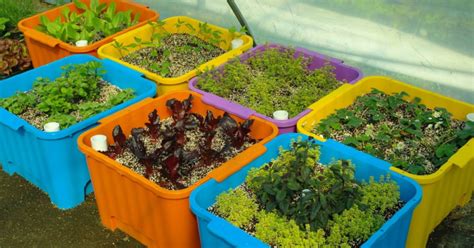 마포구 상자텃밭 참여자 모집1500세트 보급