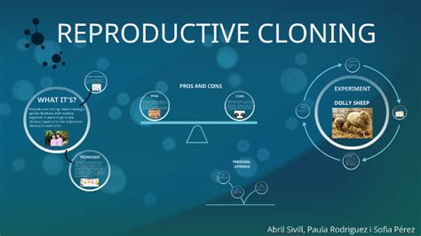 Reproductive Cloning Steps